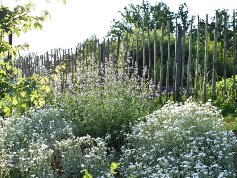 Plantera i Slänt: Tips för en Vacker och Lättskött Trädgård